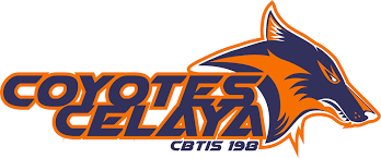 Cubil Virtual CBTis 198